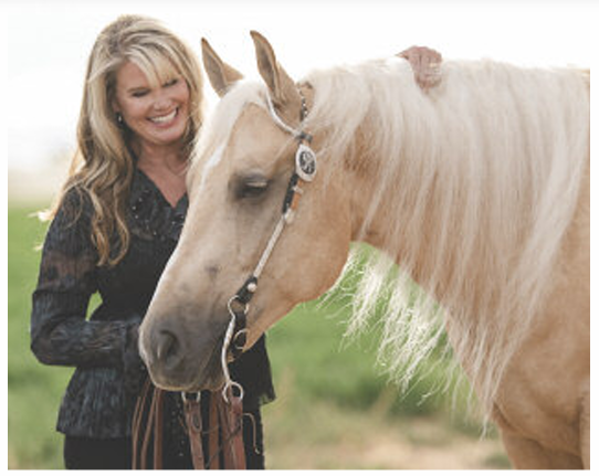 Show Division | RMQHA